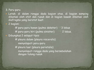 Pp s.respirasi media | PPTX