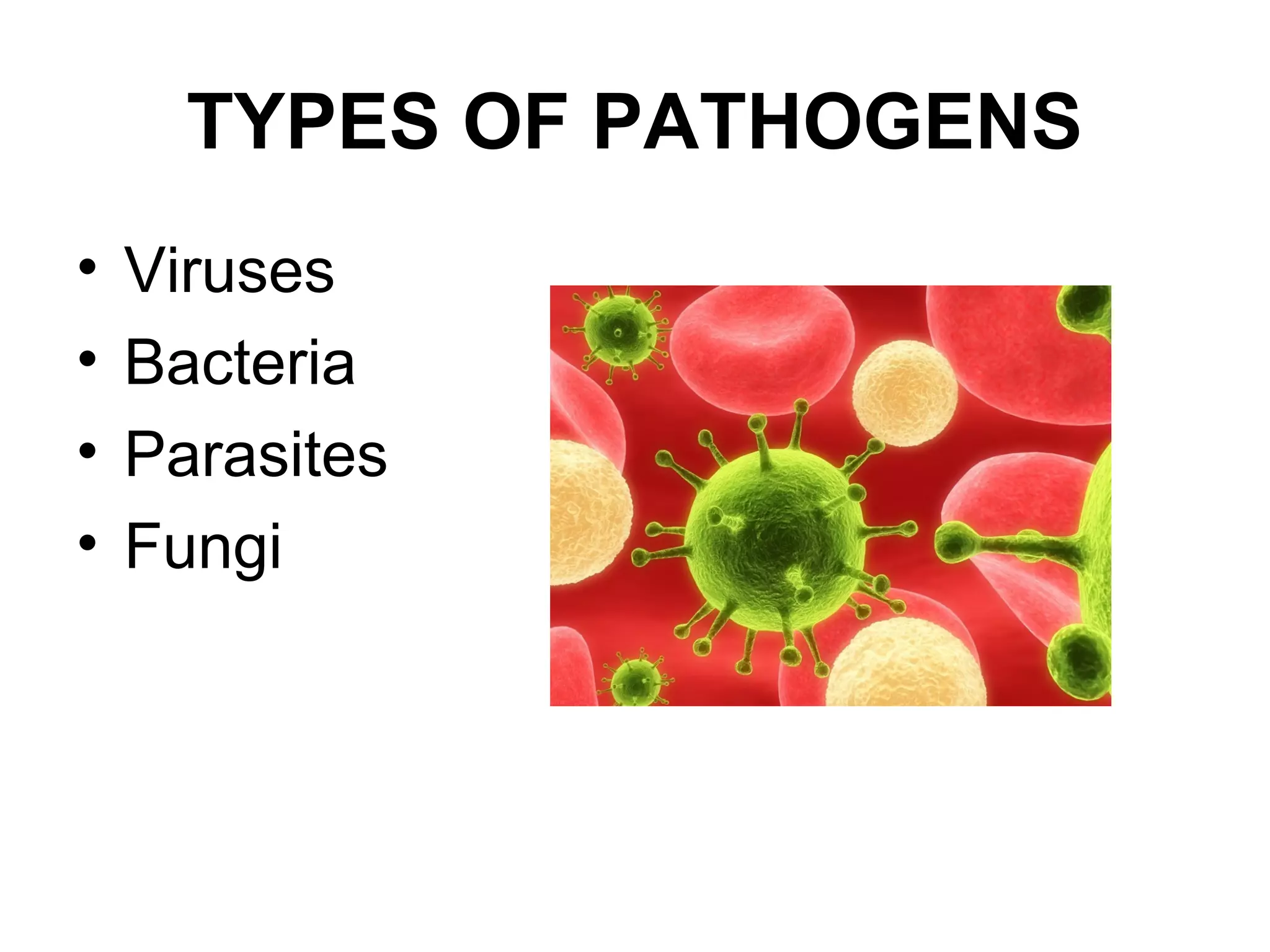Servsafe chapter 2 ppt | PPT