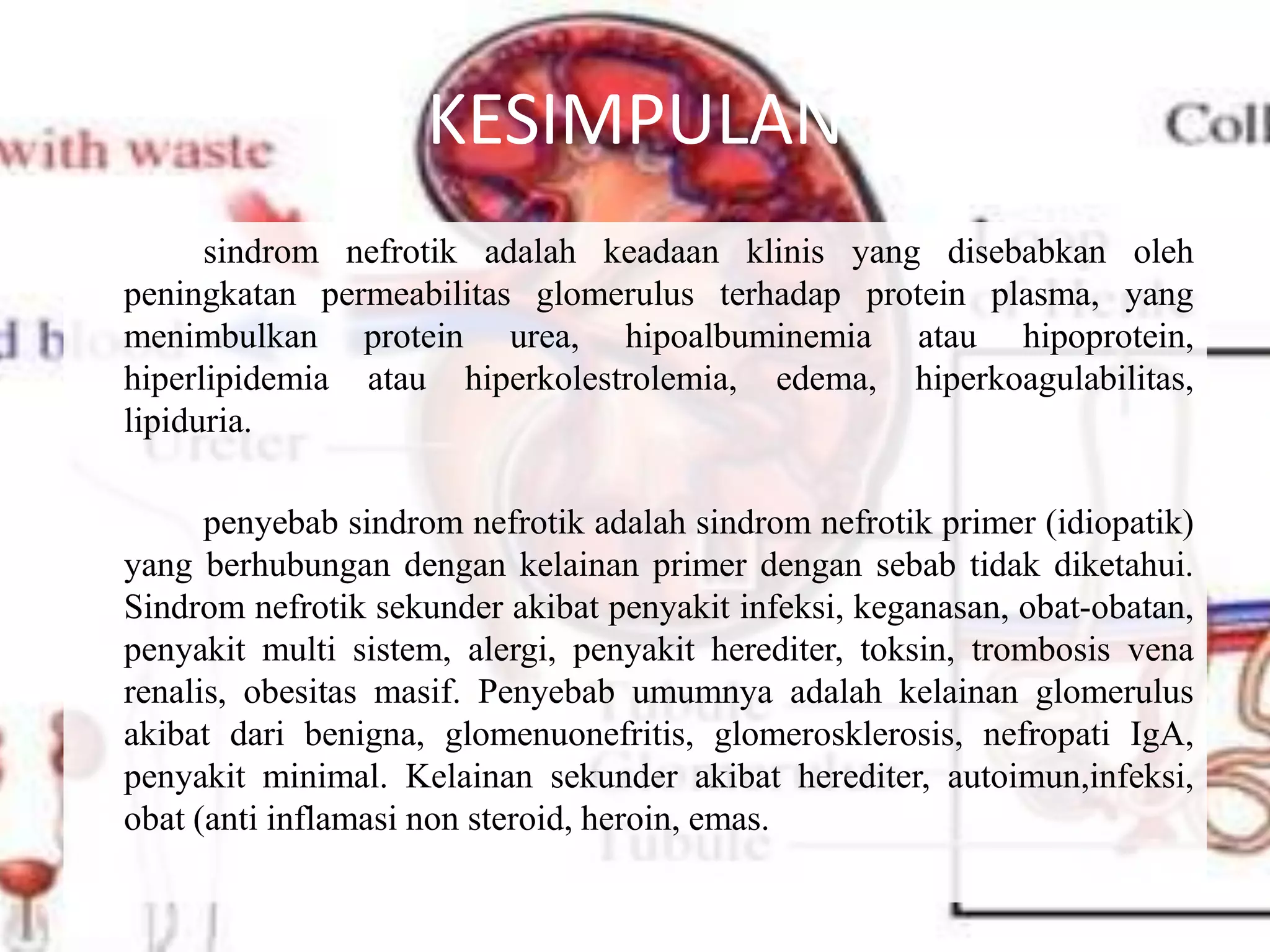 Ppt sindrom nefrotik | PPTX