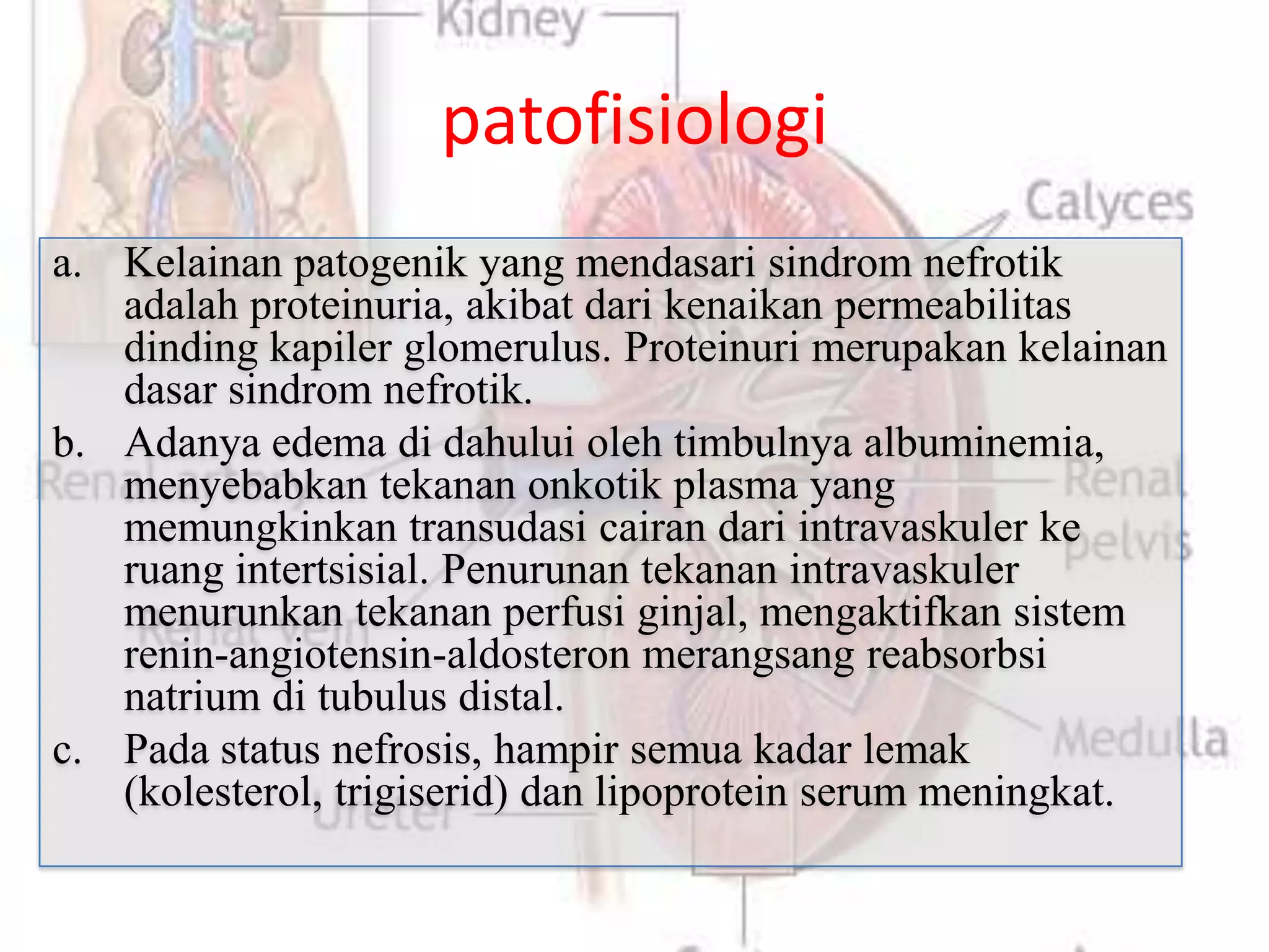 Ppt sindrom nefrotik | PPTX