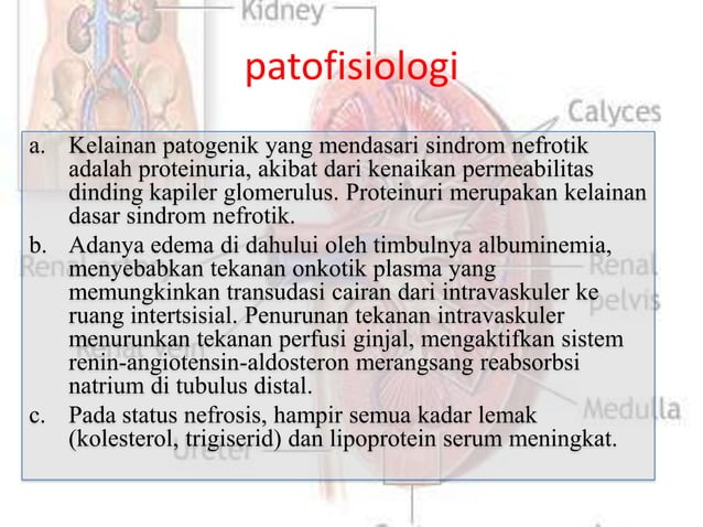 Ppt sindrom nefrotik | PPTX