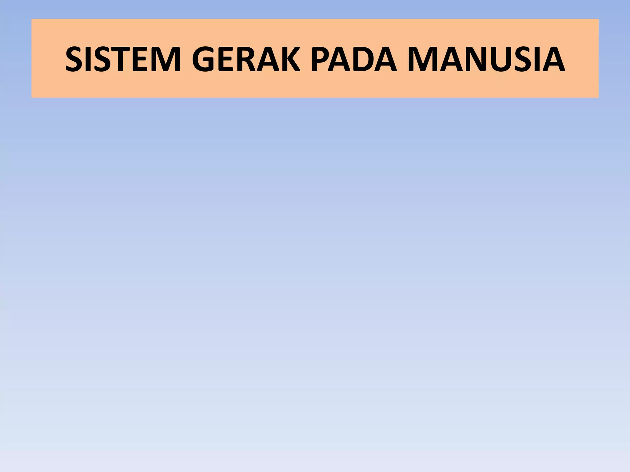 Pp sistem gerak pada manusia | PPTX