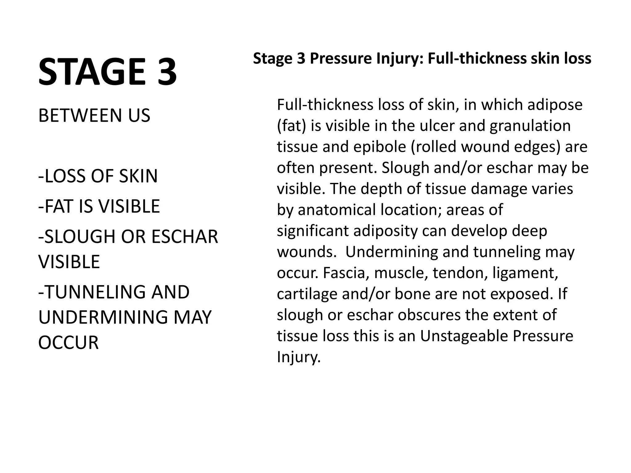 Pp skin and wound care | PPTX