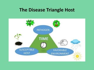 Introduction to Plant Pathology | PPTX