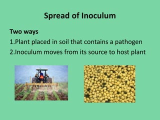 Introduction to Plant Pathology | PPTX