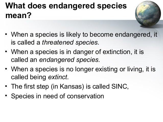 Endangered Meaning