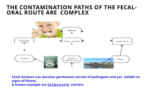 Prevention of food contamination and hazards | PPTX