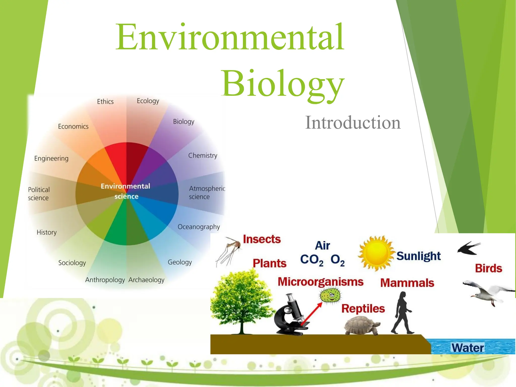 Environmental biology- Introduction and important terms | PDF