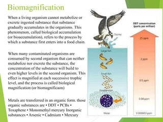 Environmental biology- Introduction and important terms | PDF