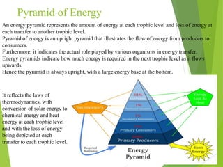 Environmental biology- Introduction and important terms | PPT