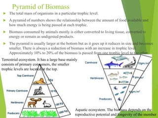 Environmental biology- Introduction and important terms | PPT