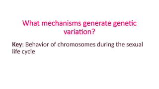 PPT-1-Meiosis-and-Sexual-Life-Cycle.pptx