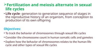 PPT-1-Meiosis-and-Sexual-Life-Cycle.pptx