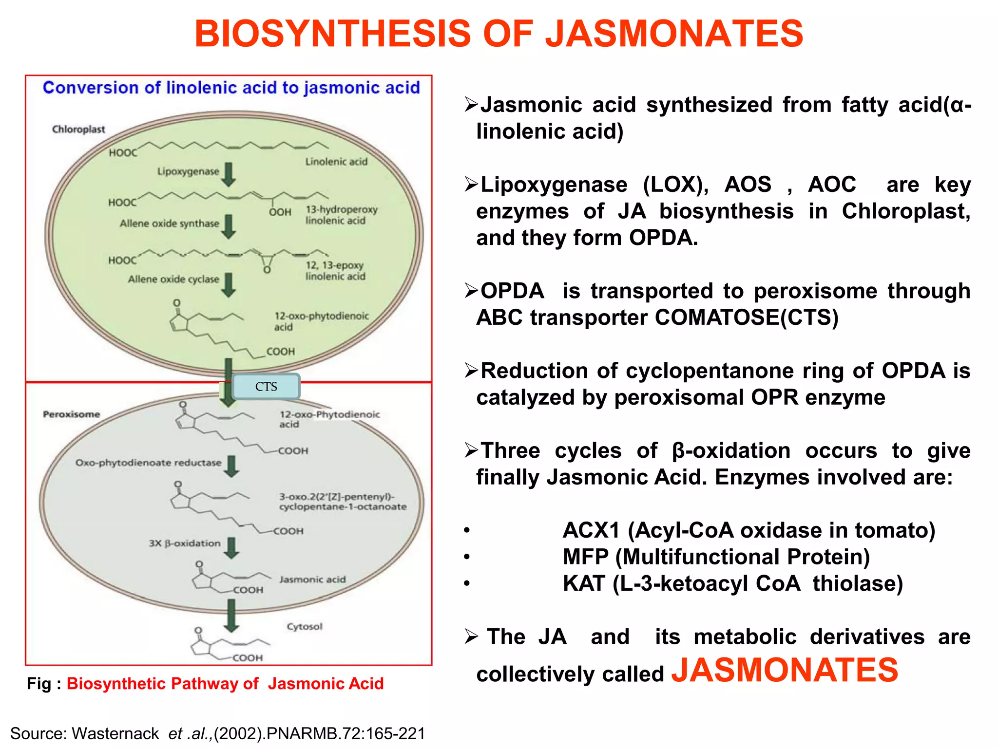Jasmonates and Biotic Stress | PDF