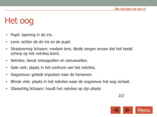 zintuigen ppt | PPSX