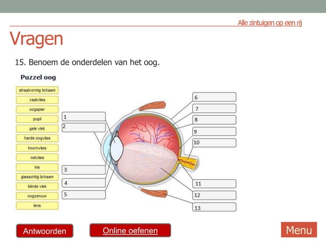 zintuigen ppt | PPSX