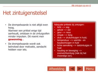 zintuigen ppt | PPSX