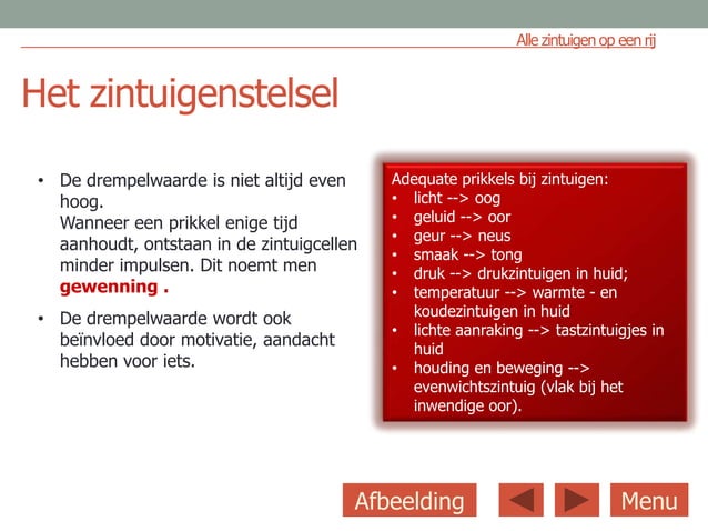 zintuigen ppt | PPSX