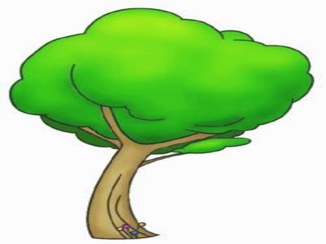 Forests : Our lifeline | PPTX | Environment | Science