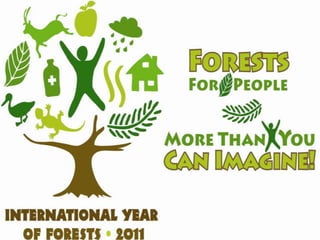 Forests : Our lifeline | PPTX