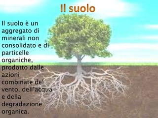 Suolo - Acqua | PPTX | Science