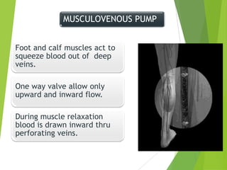 clinical aspects of vein | PPTX