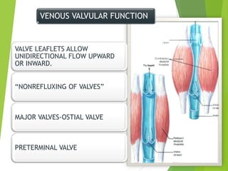 clinical aspects of vein | PPTX