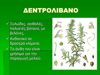 Ειδη και καλλιεργεια βοτανων (Ppt) | PDF