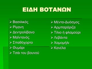 Ειδη και καλλιεργεια βοτανων (Ppt) | PDF
