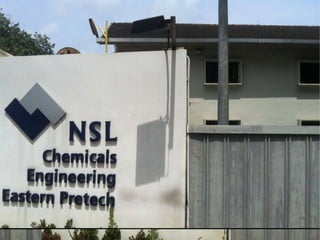 Experience at NSL Chemical | PPT