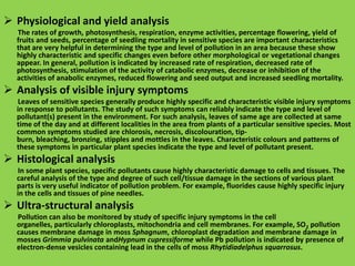 plant indicators | PPTX