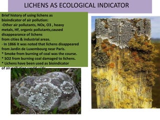 plant indicators | PPTX