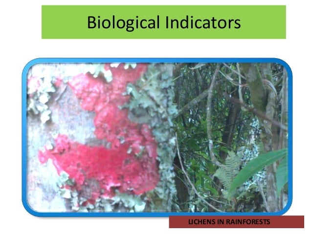 Indicator plant - Alchetron, The Free Social Encyclopedia