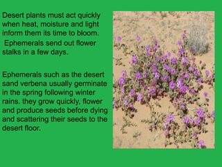 plants adaptations | PPTX