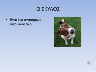 δραστηριοτητα Ppt | PPTX