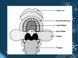 Buccal &Sublingual Drug Delivery System | PPTX