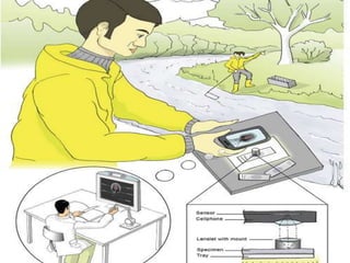 cellphone microscope | PPTX | Cameras and Camcorders | Consumer Electronics