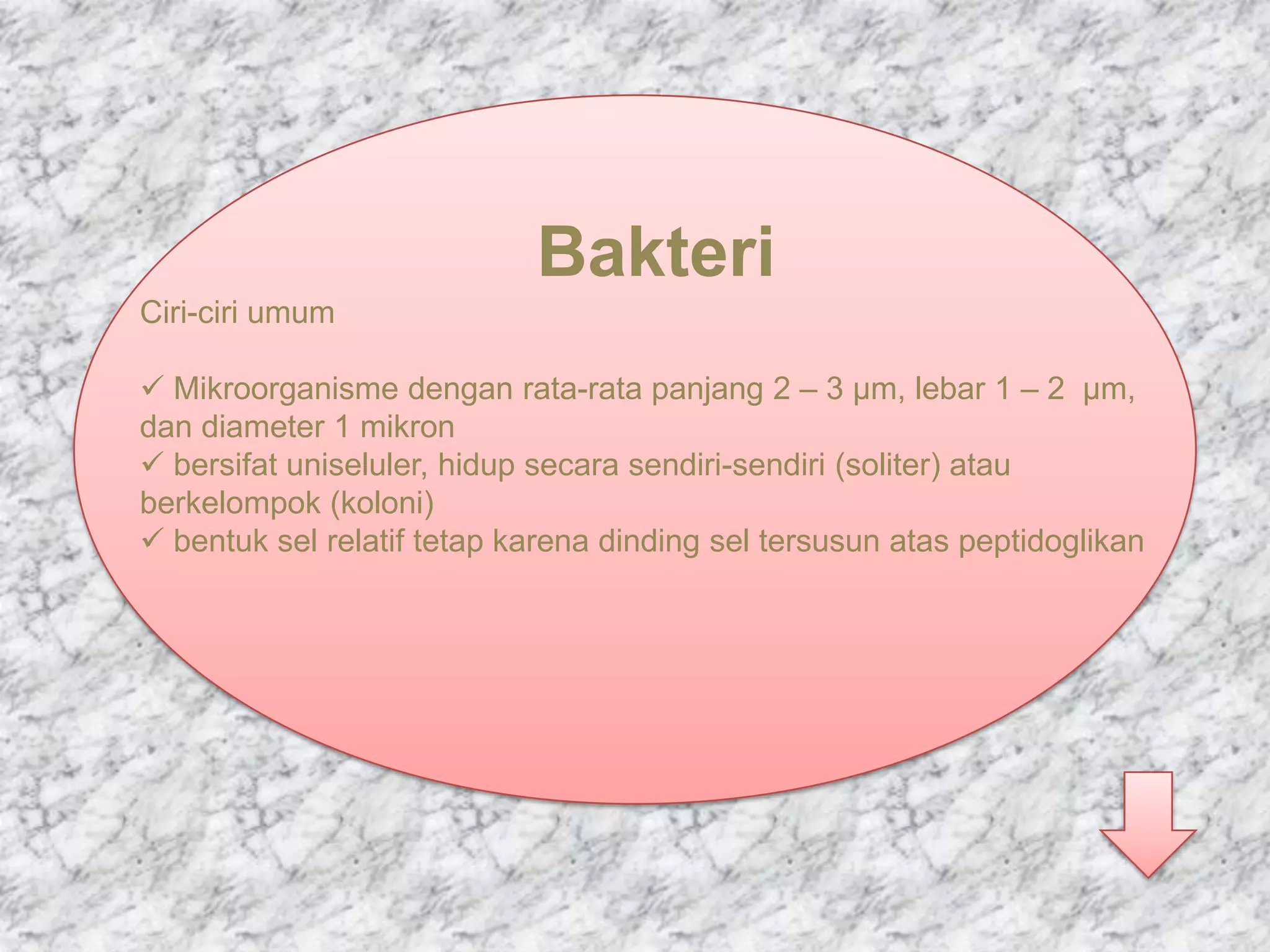 PPT Interaktif Bakteri | PPTX