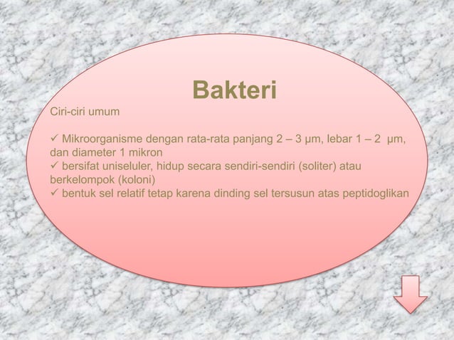 PPT Interaktif Bakteri | PPTX