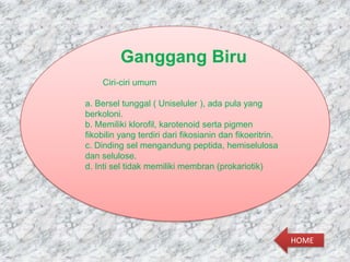PPT Interaktif Bakteri | PPTX