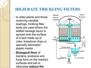 presenetation on sewage treatment plant on board ships .pptx
