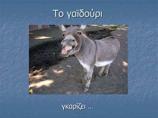 Τα ζώα και οι ήχοι τους | PPT