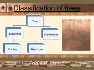 Timber - A Construction Material | PPTX