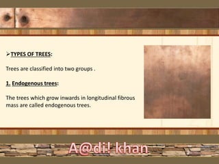 Timber - A Construction Material | PPTX