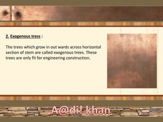 Timber - A Construction Material | PPTX