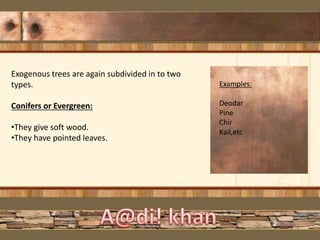 Timber - A Construction Material | PPTX