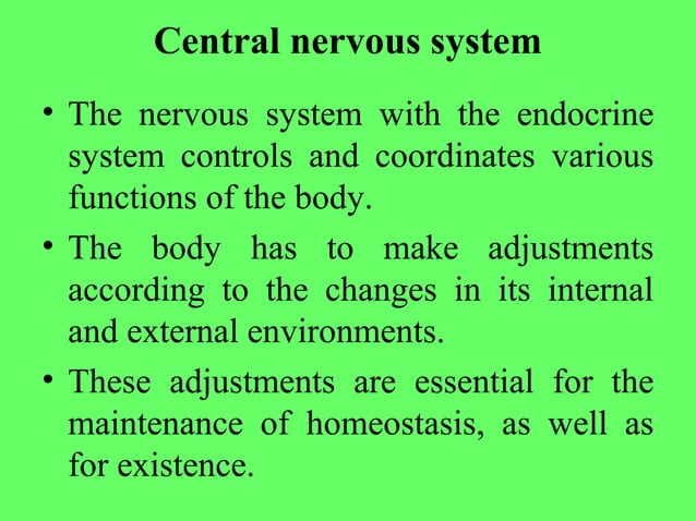 autonomic nervous system Ppt | PPT