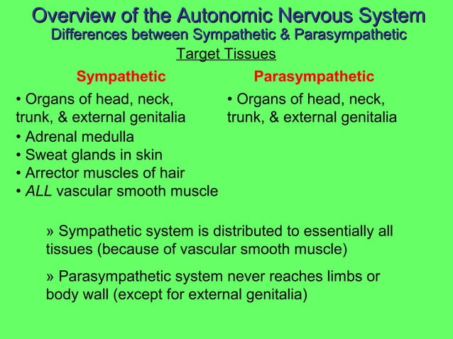 autonomic nervous system Ppt | PPT