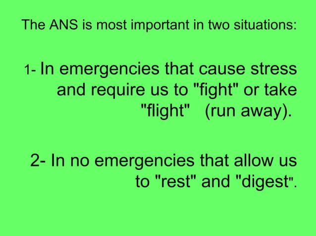 Autonomic Nervous System Ppt Ppt