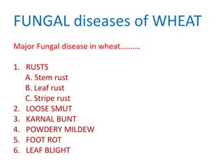 Diseases of Wheat | PPTX
